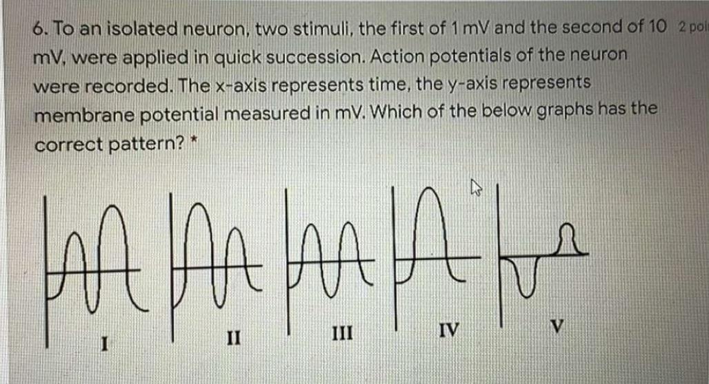 Solved To an isolated neuron, two stimuli, the first of 1mV | Chegg.com