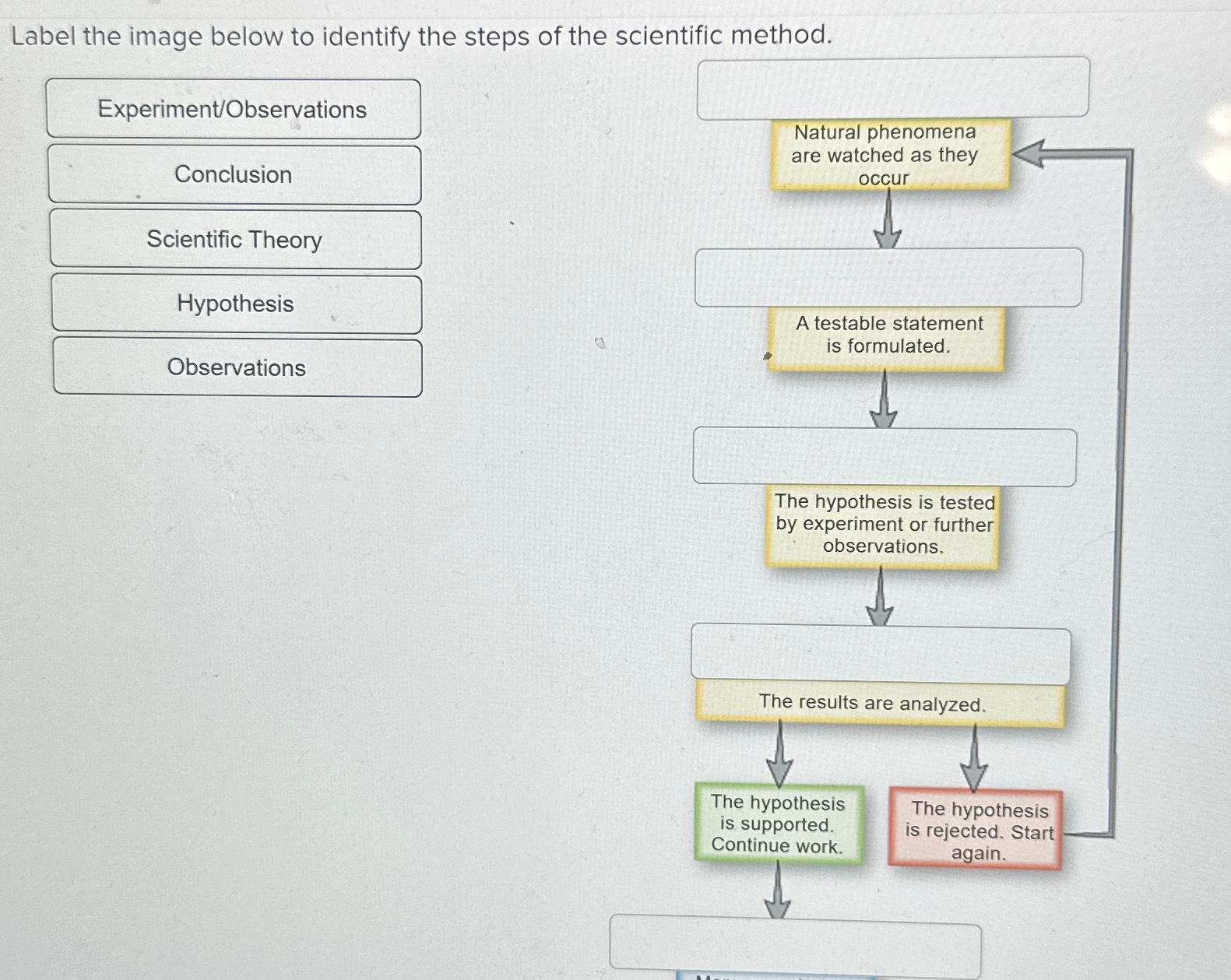 Solved Label the image below to identify the steps of the | Chegg.com