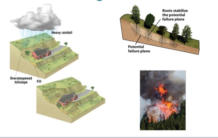 Solved Fault trace Epicenter Fault Seismic waves Hypocenter | Chegg.com