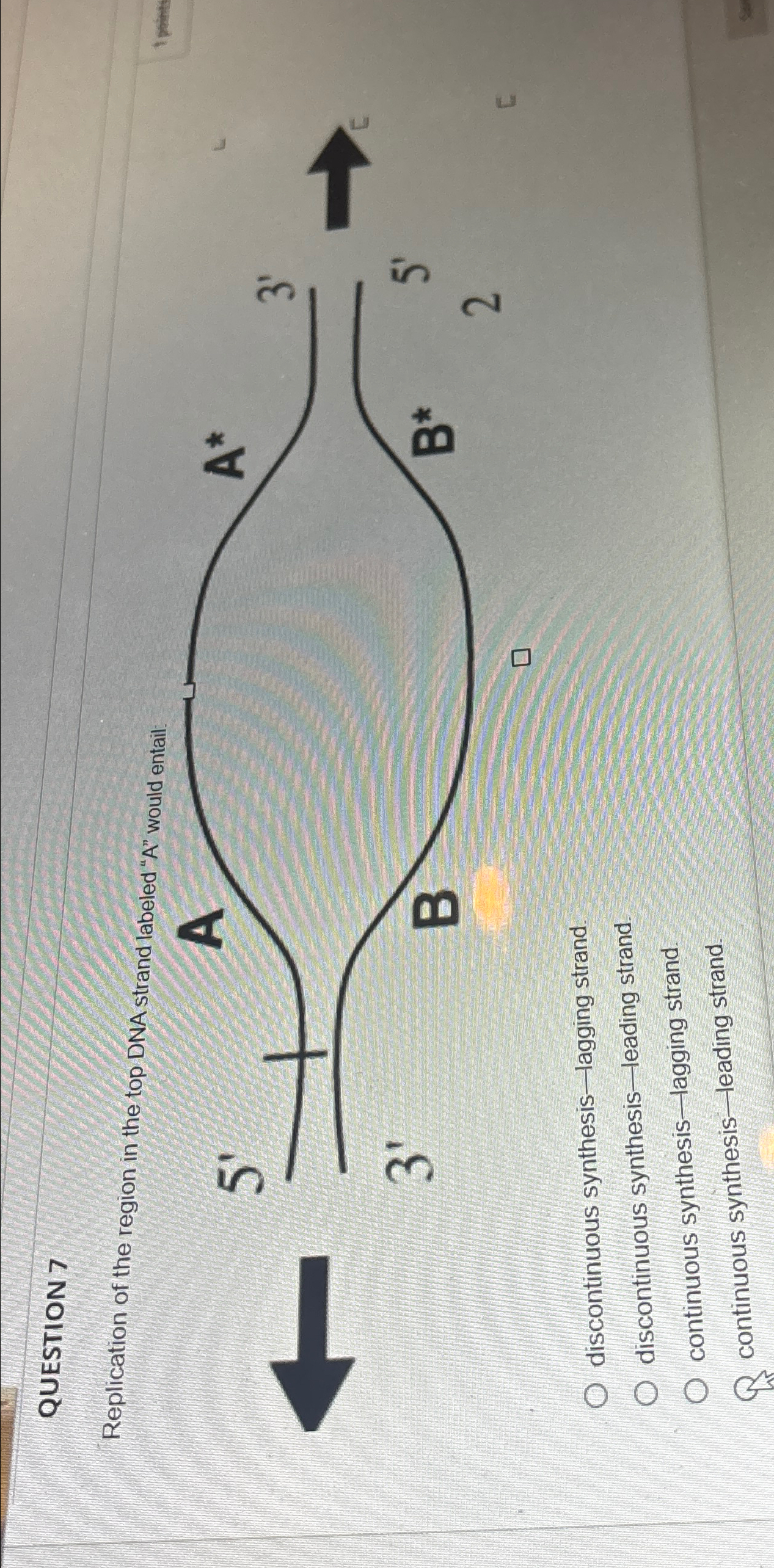 Solved QUESTION 7Replication of the region in the top DNA | Chegg.com
