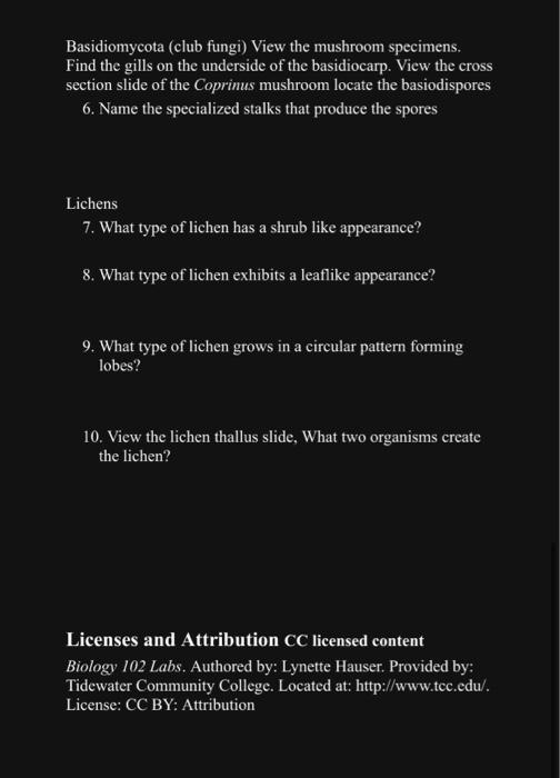 Solved Part I Protista 1. Access the Protista Lecture Slides | Chegg.com