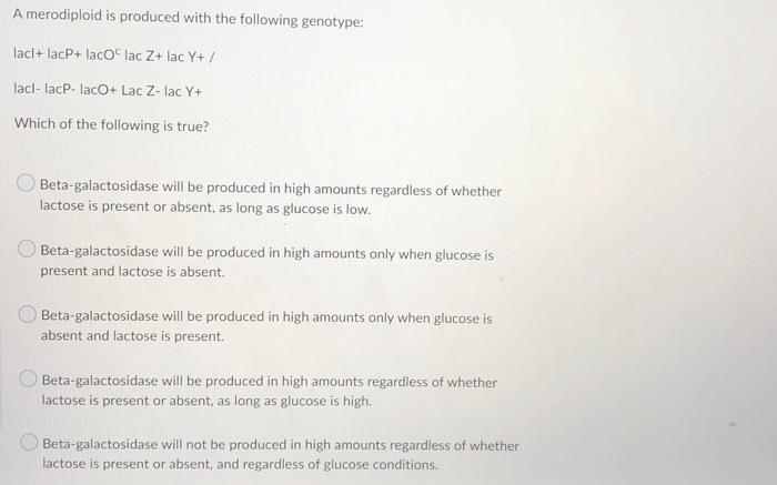 Solved A merodiploid is produced with the following | Chegg.com