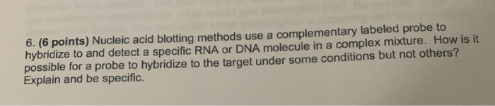 Solved 6. (6 points) Nucleic acid blotting methods use a | Chegg.com