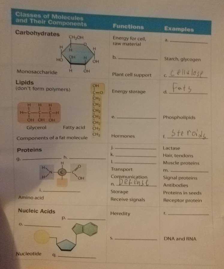 Solved Classes of Molecules and Their Components | Chegg.com