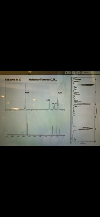 Solved - Your Name: Section/Instructor: -- -------- - Date: | Chegg.com