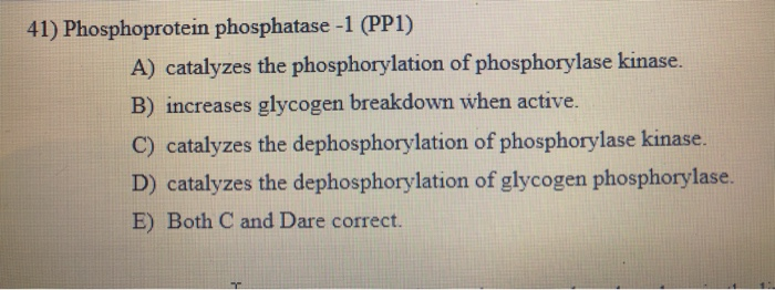 Solved 41) Phosphoprotein phosphatase -1 (PP1) A) catalyzes | Chegg.com