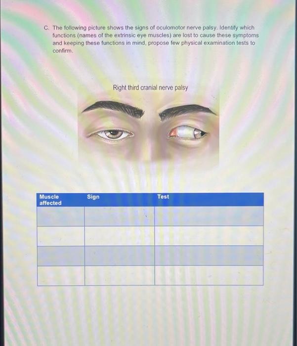 Solved Lab 6.3 Activity A. Identify the cranial nerves on a | Chegg.com