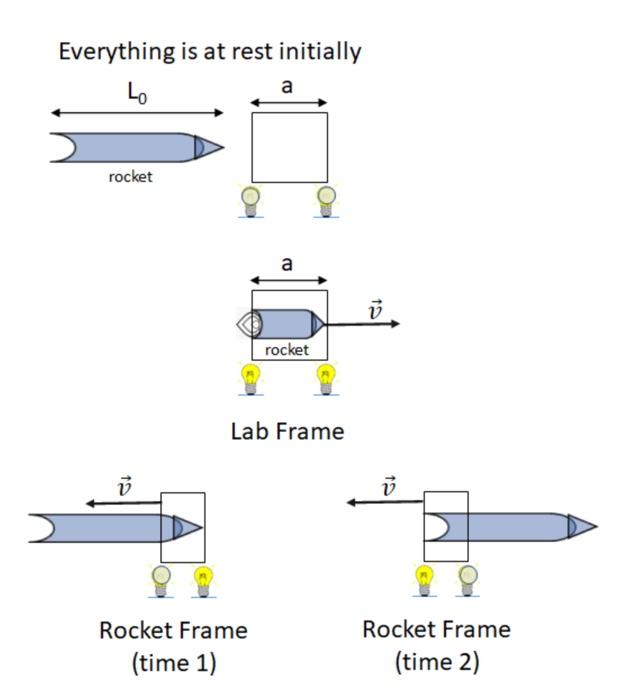 Solved An ambitious scientist wants to prove to a skeptical | Chegg.com