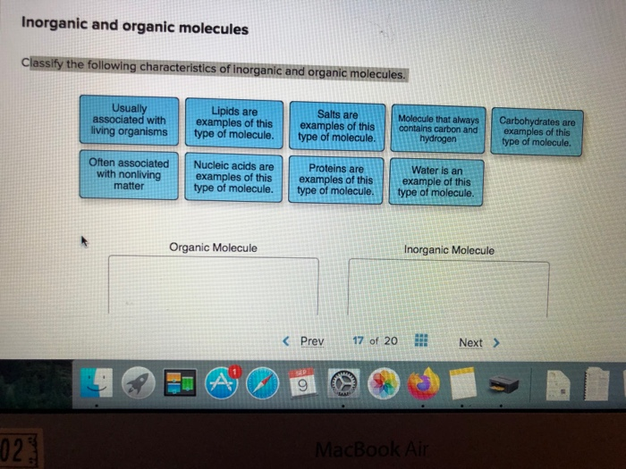 Solved Inorganic and organic molecules Classify the | Chegg.com