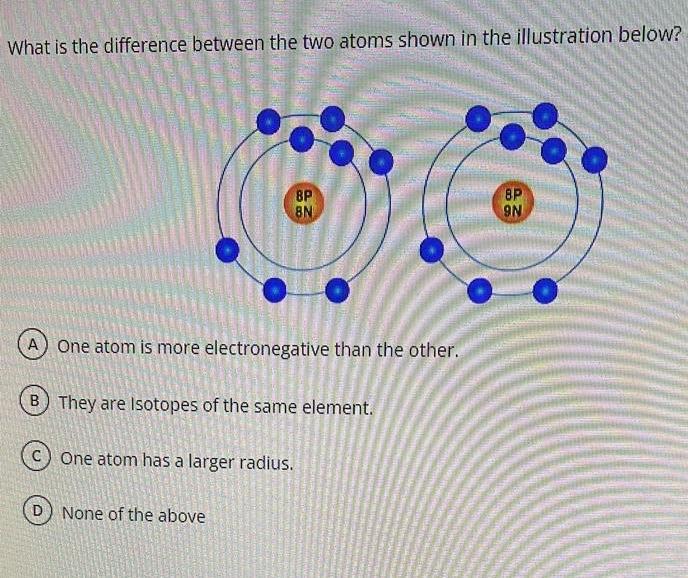 Solved What is the difference between the two atoms shown in | Chegg.com