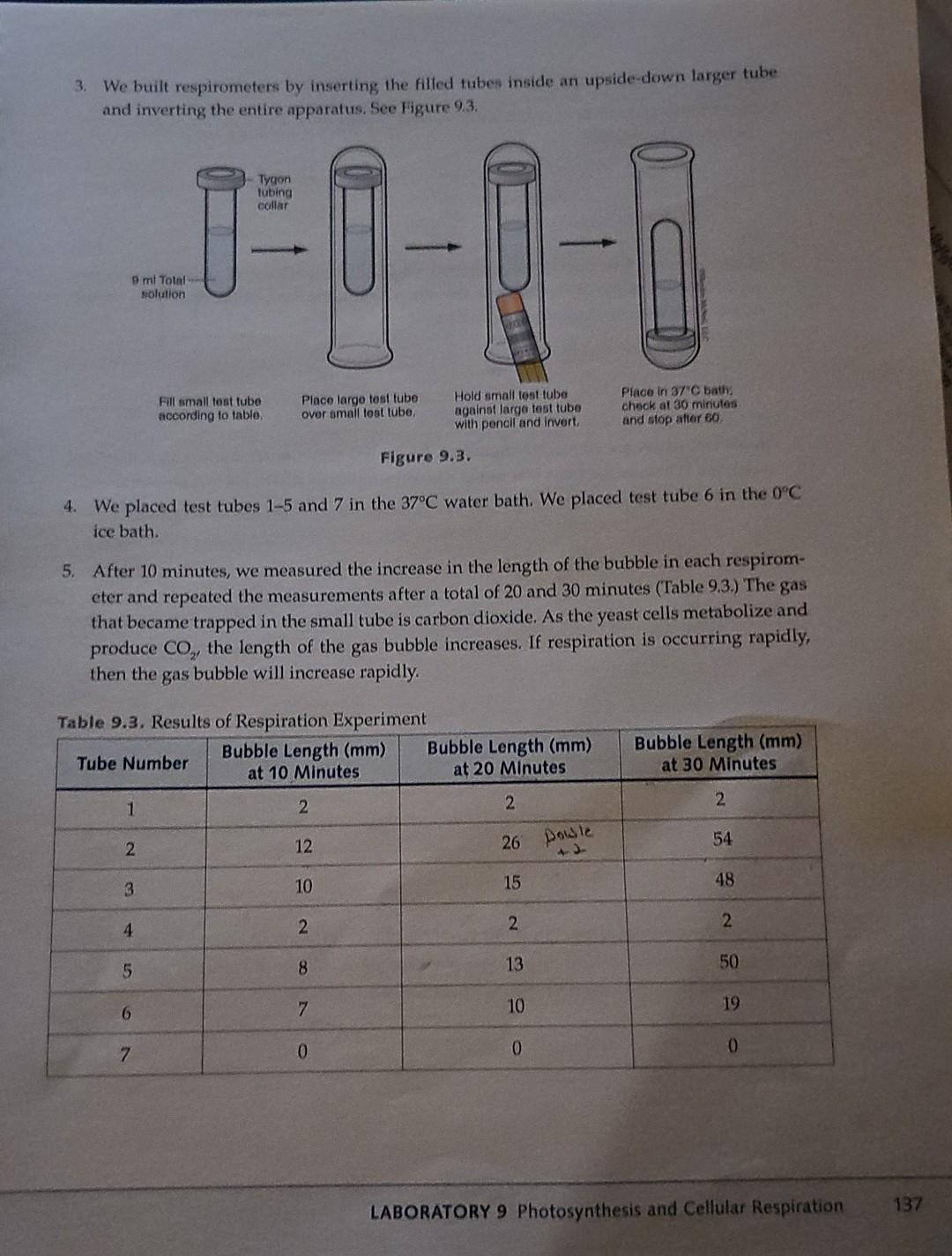 INTRODUCTION lesst cells efficiently use glucose as a | Chegg.com