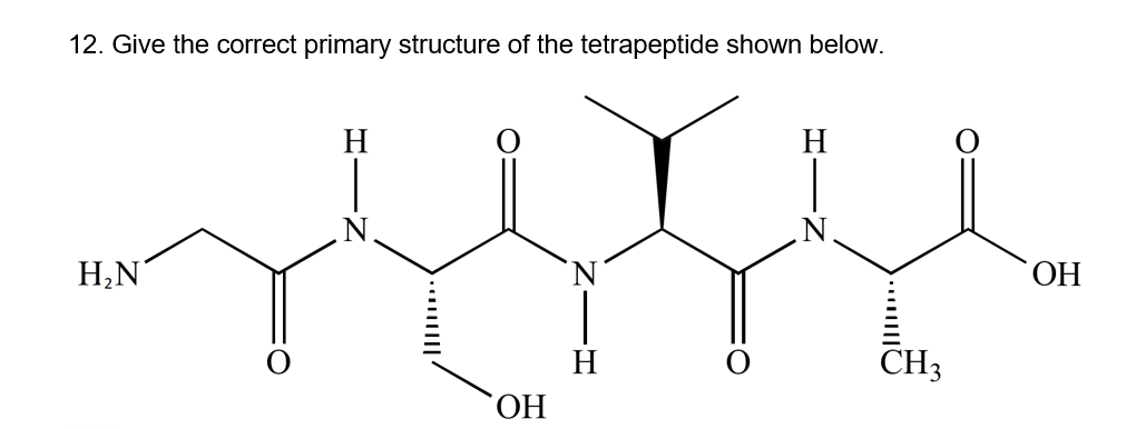 Solved Give the correct primary structure of the | Chegg.com