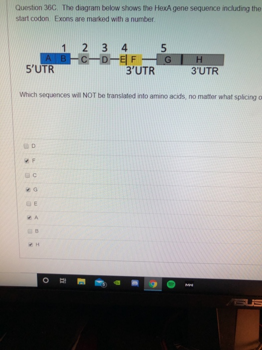 Solved Question 36C. The diagram below shows the HexA | Chegg.com