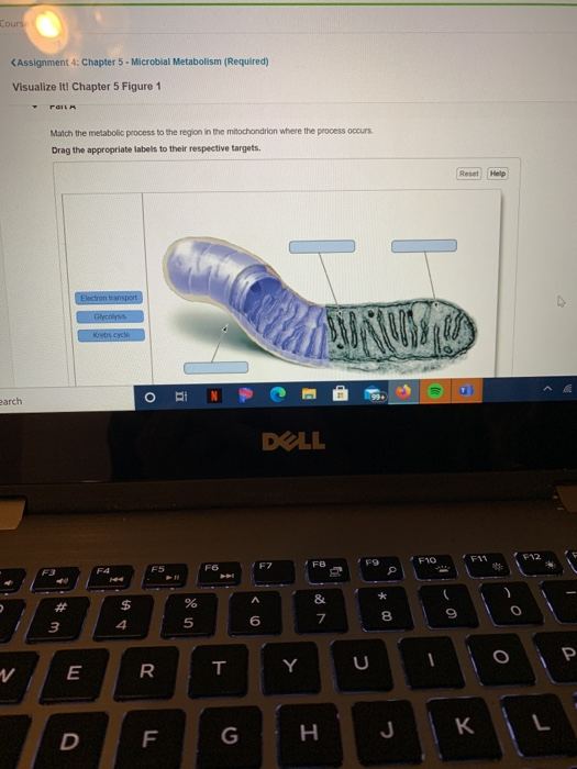 Solved Cours | Chegg.com