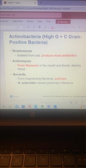 Solved 5. Differentiate the actinobacteria described in this | Chegg.com
