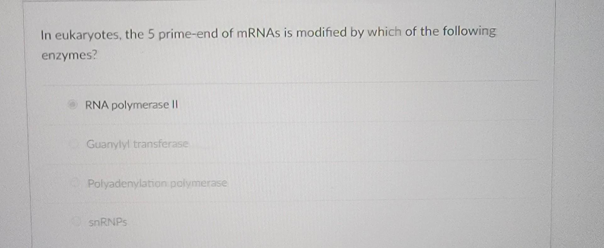 Solved In eukaryotes, the 5 prime-end of mRNAs is modified | Chegg.com