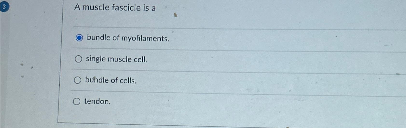 Solved A muscle fascicle is abundle of myofilaments.single | Chegg.com