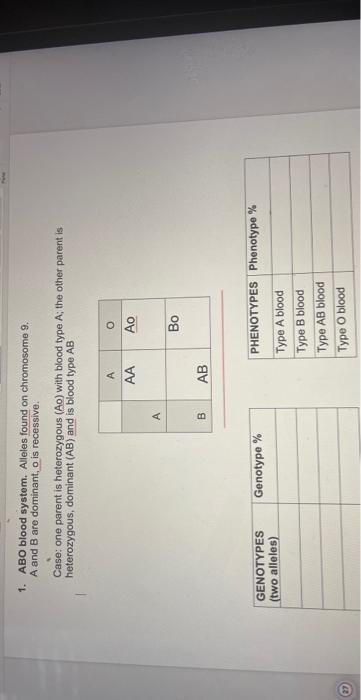 Solved ABO system . alleles found on chromosome9. A and B | Chegg.com