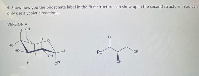 Solved 4. Show how you the phosphate label in the first | Chegg.com