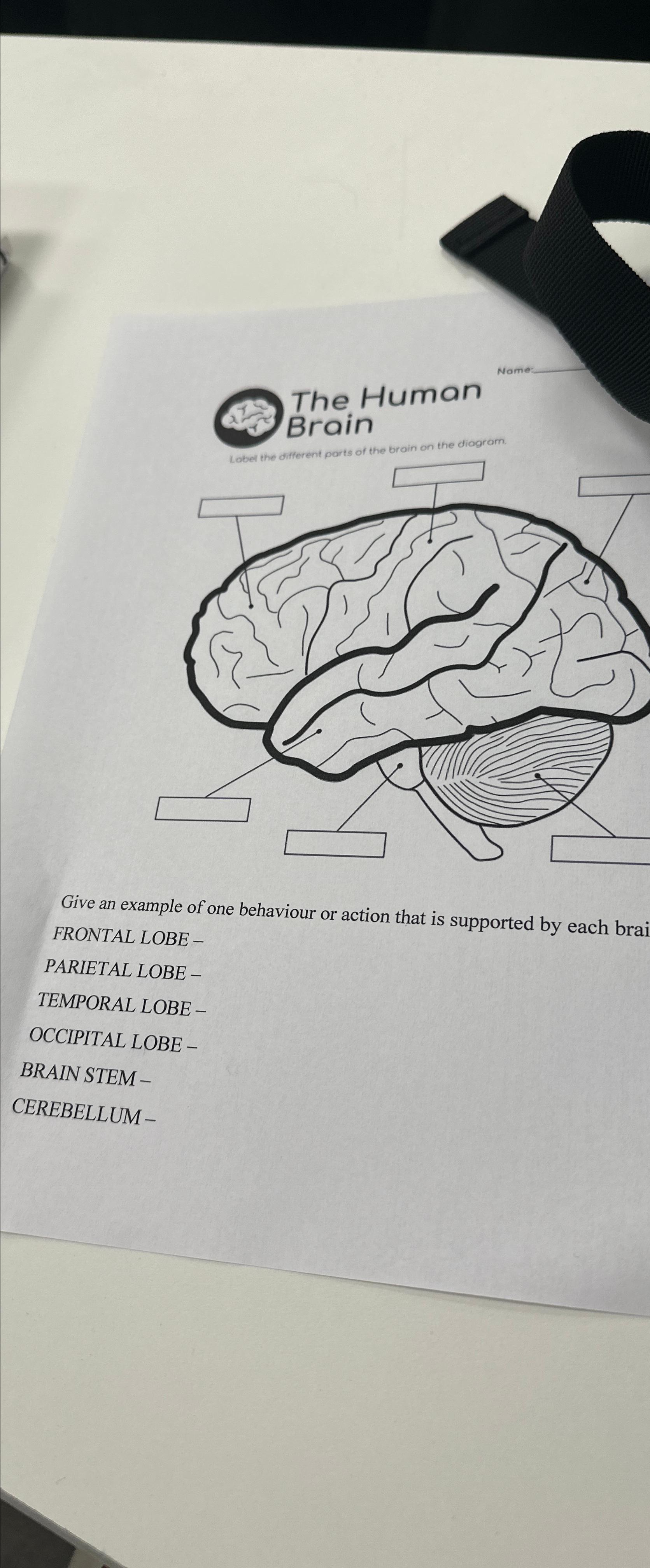 Solved Give an example of one behaviour or action that is | Chegg.com