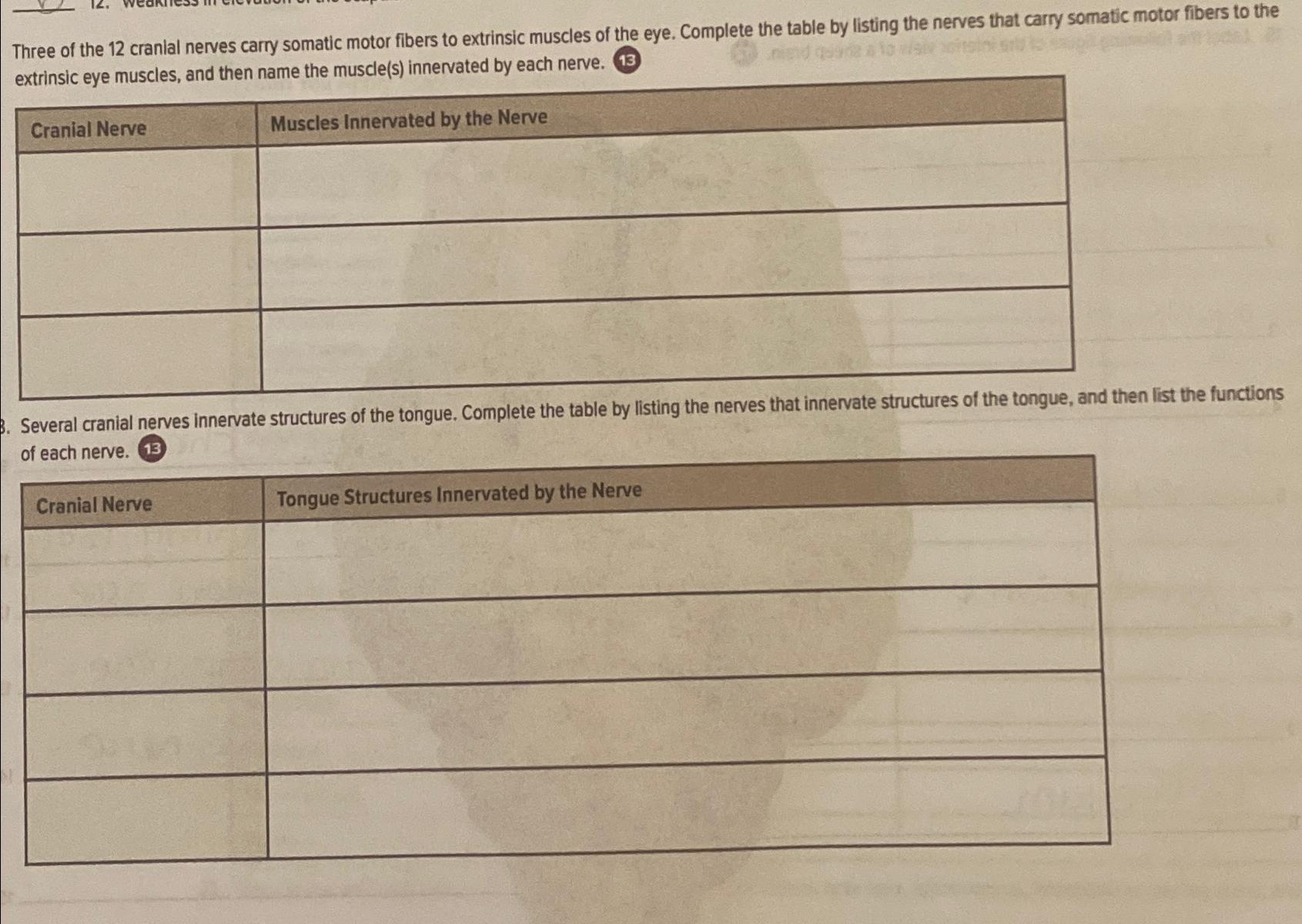 Solved Three of the 12 ﻿cranial nerves carry somatic motor | Chegg.com