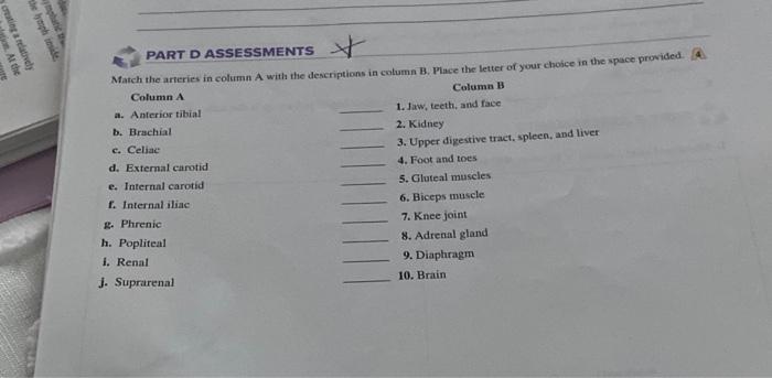 Solved PART A ASSESSMENTS Complete the following statemenis: | Chegg.com