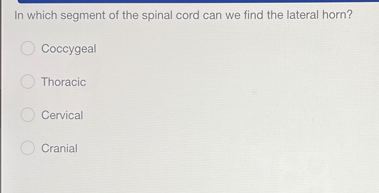 Solved In which segment of the spinal cord can we find the | Chegg.com
