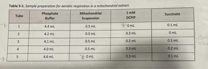 Solved Succinate Table 5-1. Sample preparation for aerobic | Chegg.com