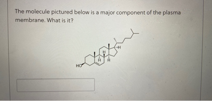 Solved The molecule pictured below is a major component of | Chegg.com