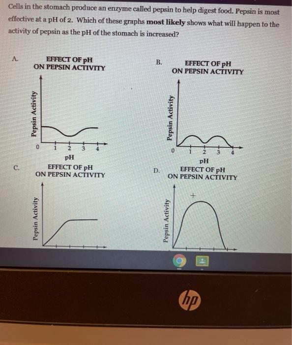 Solved Cells in the stomach produce an enzyme called pepsin | Chegg.com