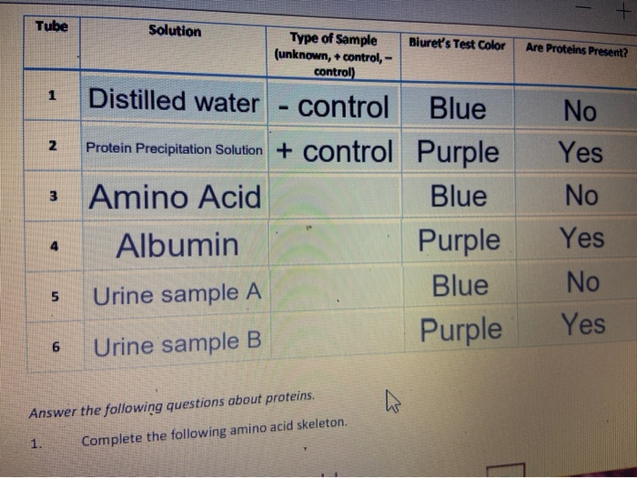 Solved Biuret's Solution Tests for proteins - A positive | Chegg.com