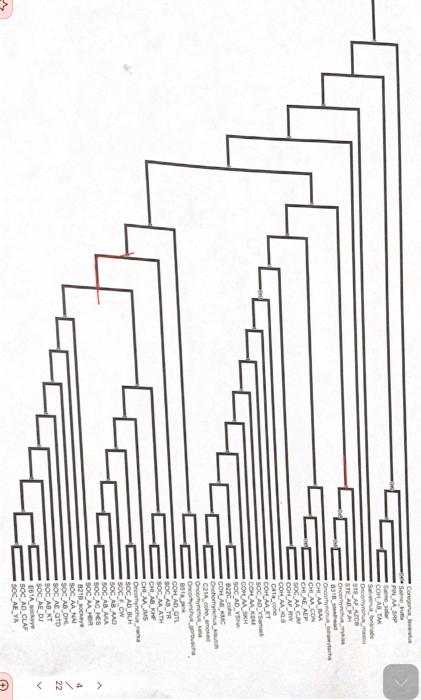 On your phylogeny, for each of the different salmon | Chegg.com