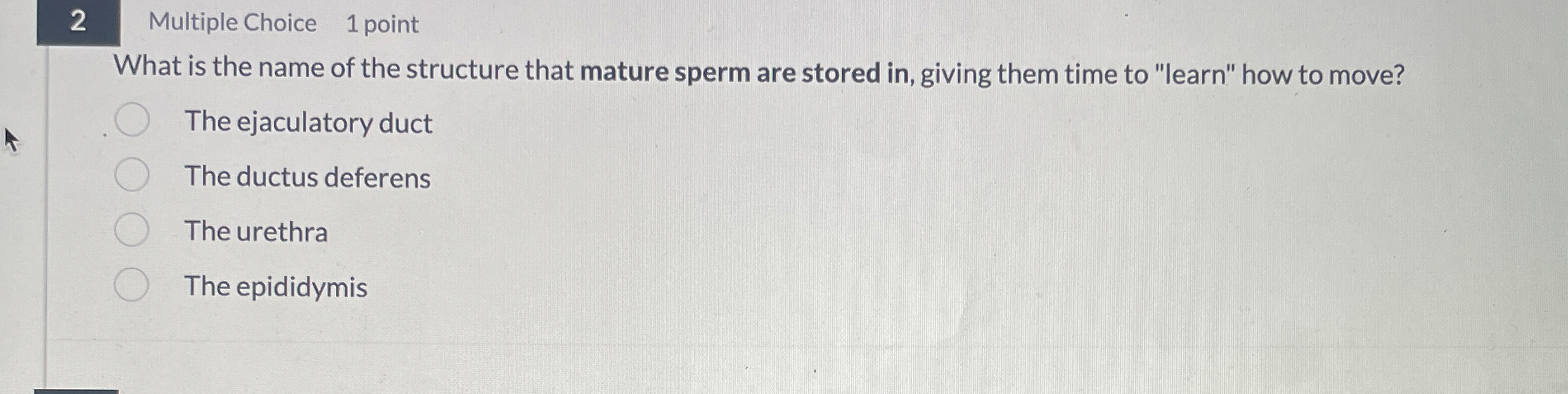 Solved 2Multiple Choice1 ﻿pointWhat is the name of the | Chegg.com
