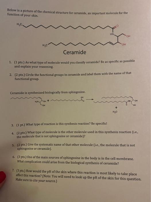Solved Below is a picture of the chemical structure for | Chegg.com