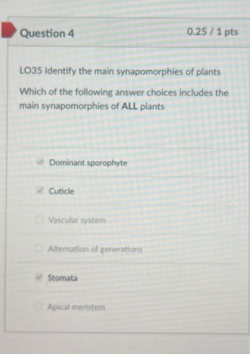 Solved LO35 Identify the main synapomorphies of plants Which | Chegg.com