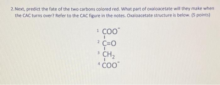Solved 1. Shown below is a schematic of the first 4 | Chegg.com