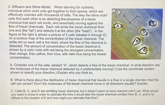 3. Diffusion and Slime Molds: When starving for | Chegg.com