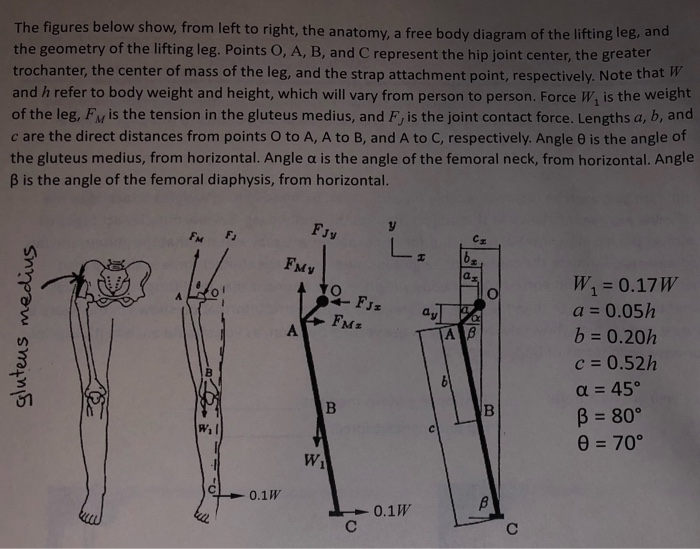 The figures below show, from left to right, the | Chegg.com