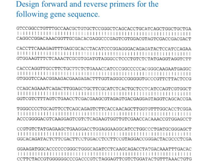 Solved Design forward and reverse primers for the following | Chegg.com