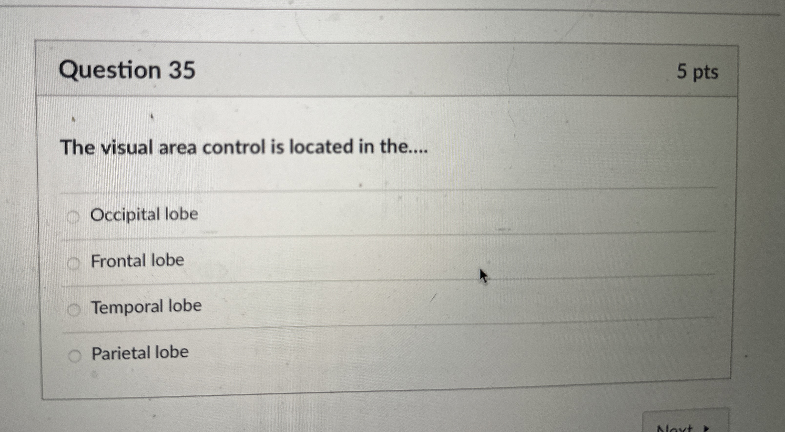 Solved Question 355 ﻿ptsThe visual area control is located | Chegg.com