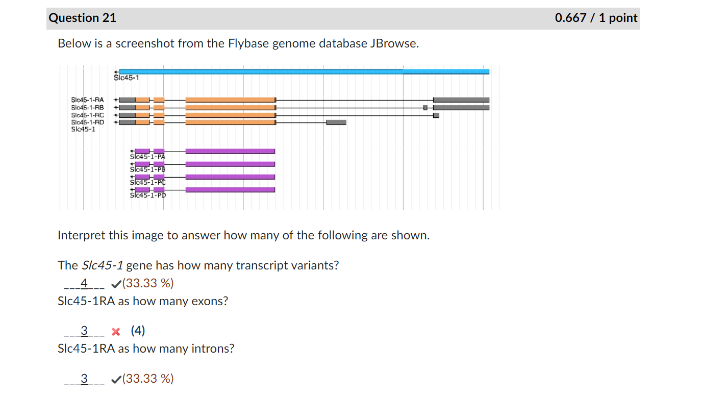 Solved i was wondering why SLC45-1RA has 4 ﻿exons and not 3 | Chegg.com