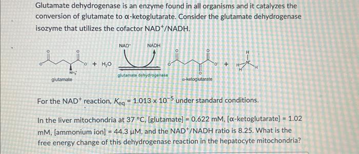 Solved Glutamate dehydrogenase is an enzyme found in all | Chegg.com