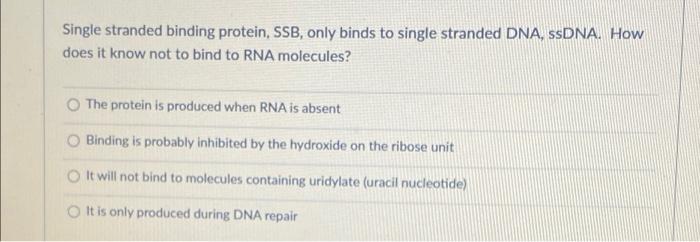 Solved Single stranded binding protein, SSB, only binds to | Chegg.com