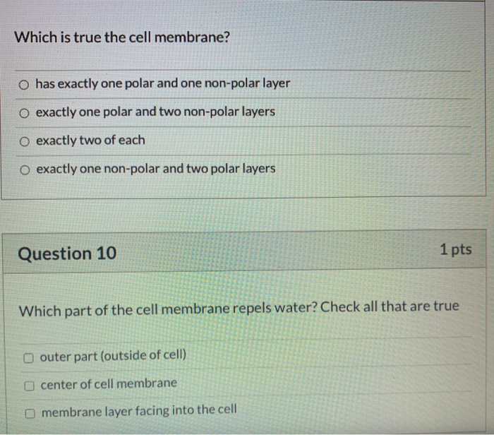 Solved Which is true the cell membrane? o has exactly one | Chegg.com