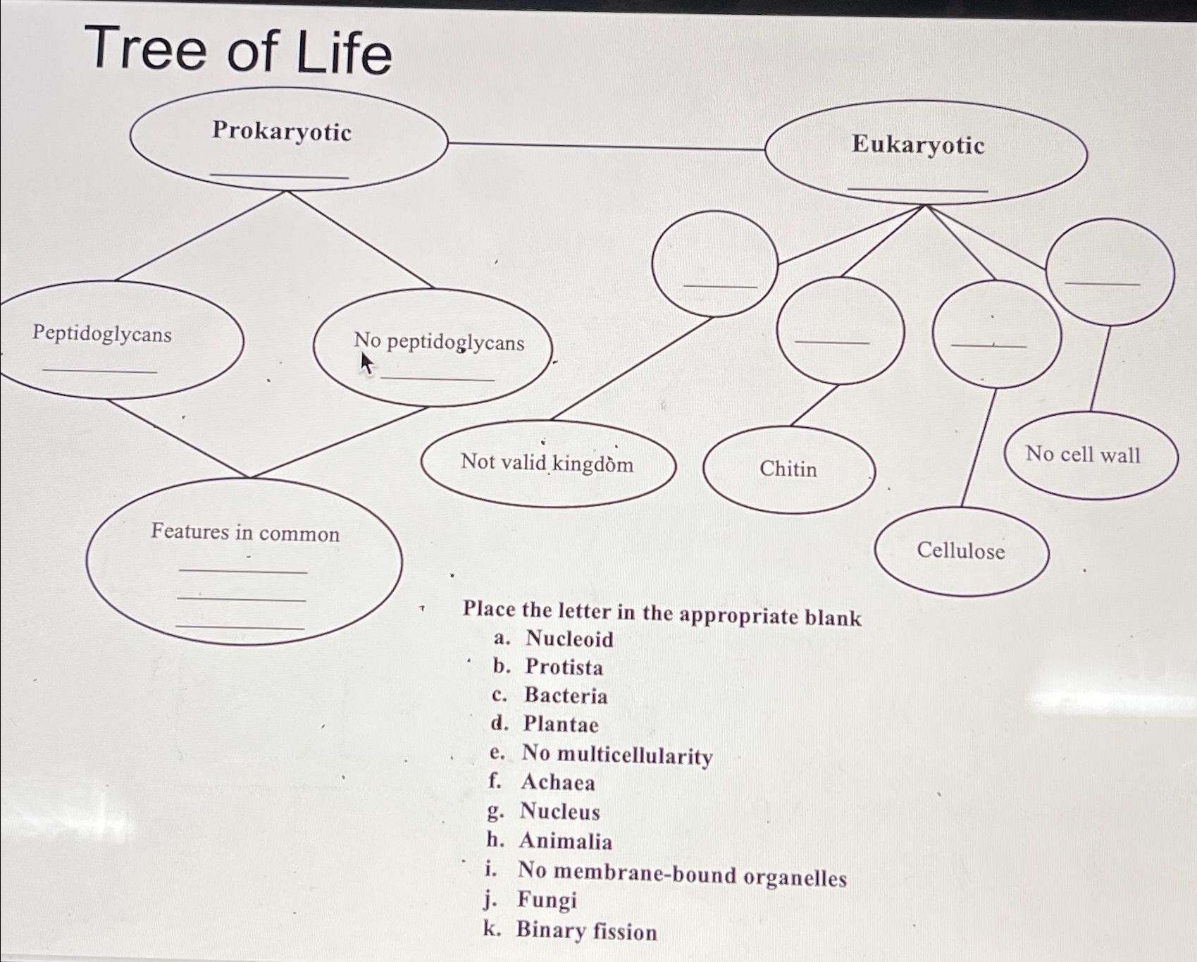 Solved Tree of Lifea. ﻿Nucleoidb. ﻿Protistac. ﻿Bacteriad. | Chegg.com