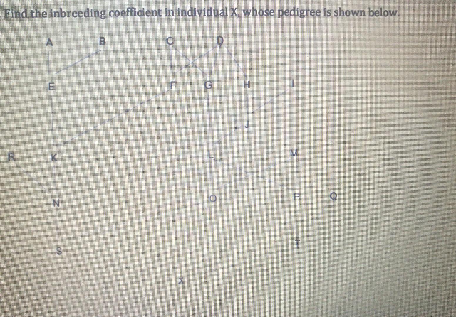 Solved Find the inbreeding coefficient in individual X, | Chegg.com