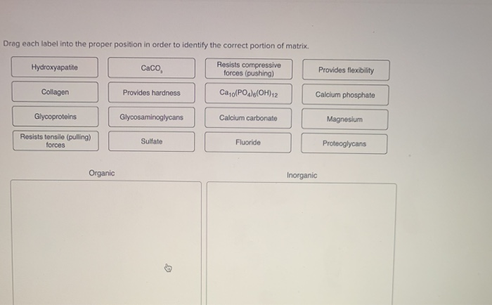Solved Drag each label into the proper position in order to | Chegg.com