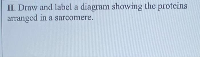 Solved II. Draw and label a diagram showing the proteins | Chegg.com