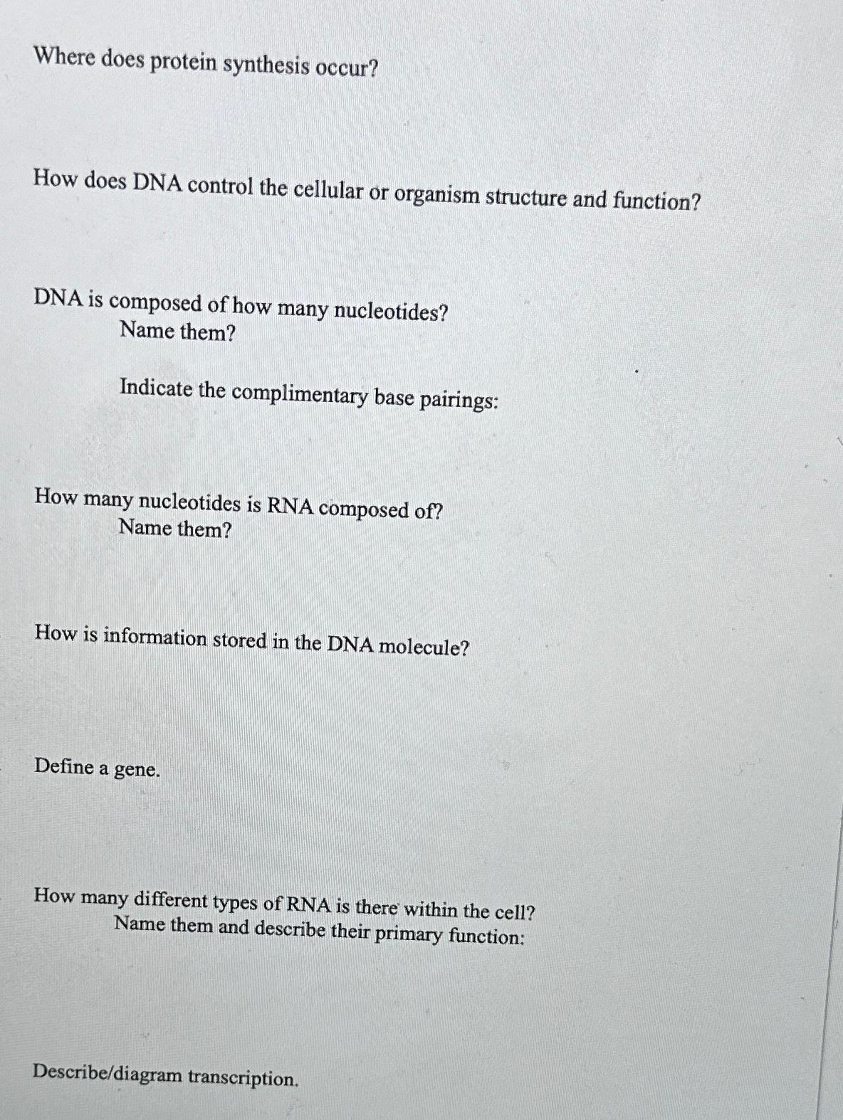 Solved Where Does Protein Synthesis Occur How Does Dna Chegg