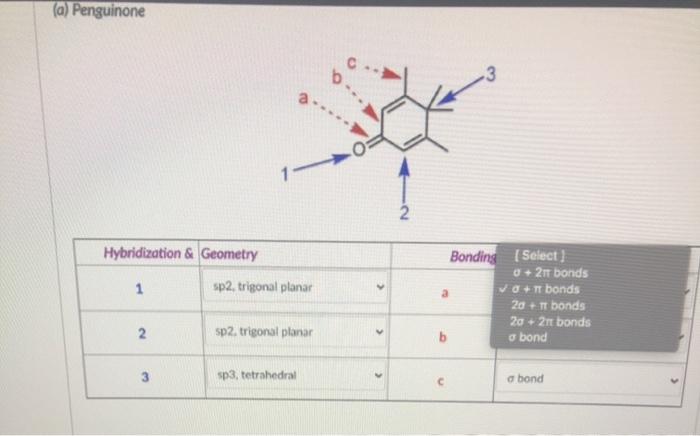 Solved (a) Penguinone 1- N Hybridization & Geometry 1 sp2. | Chegg.com